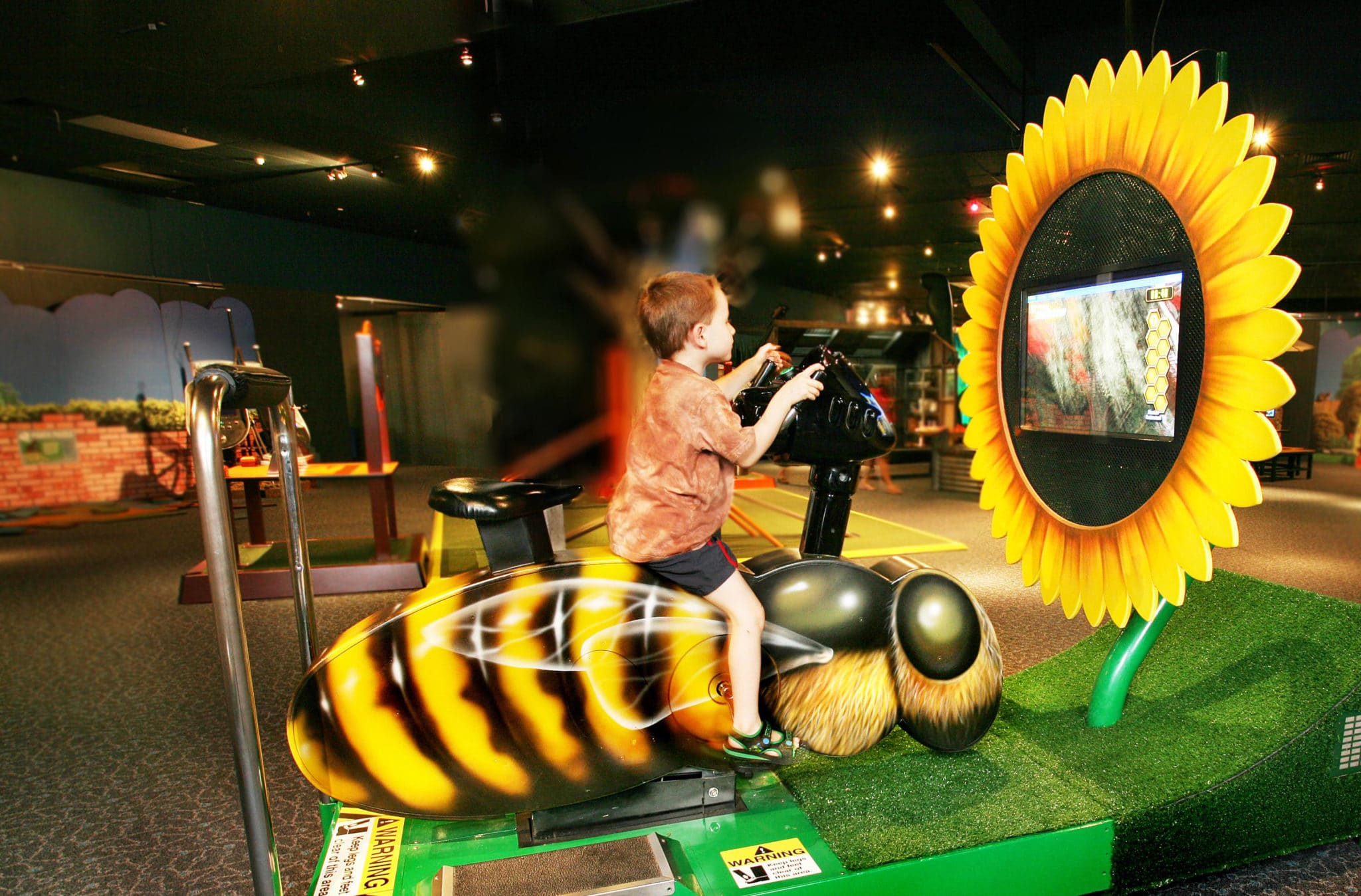 Backyard Adventures - Teo, All about touring exhibitions