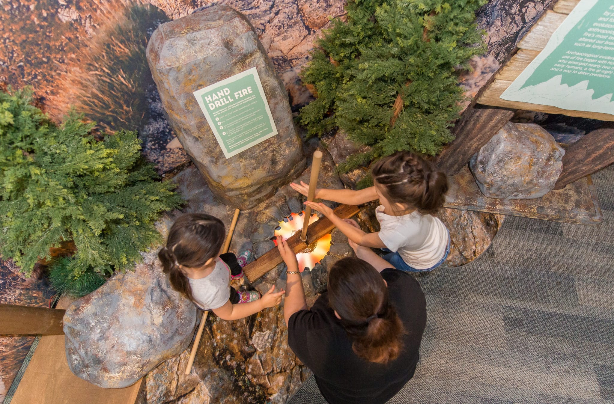 Survival: The Exhibition - Teo, All about touring exhibitions