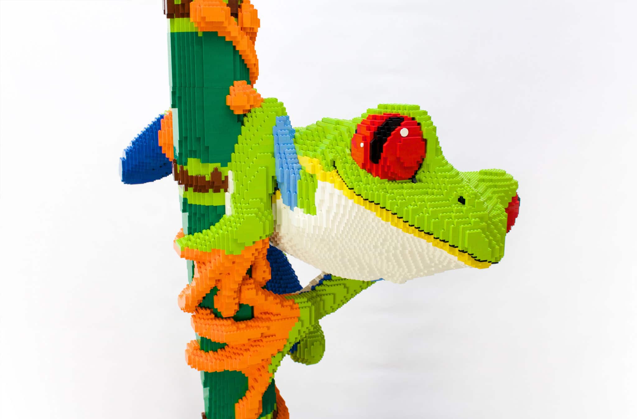 Animal Super Powers - Teo, All about touring exhibitions