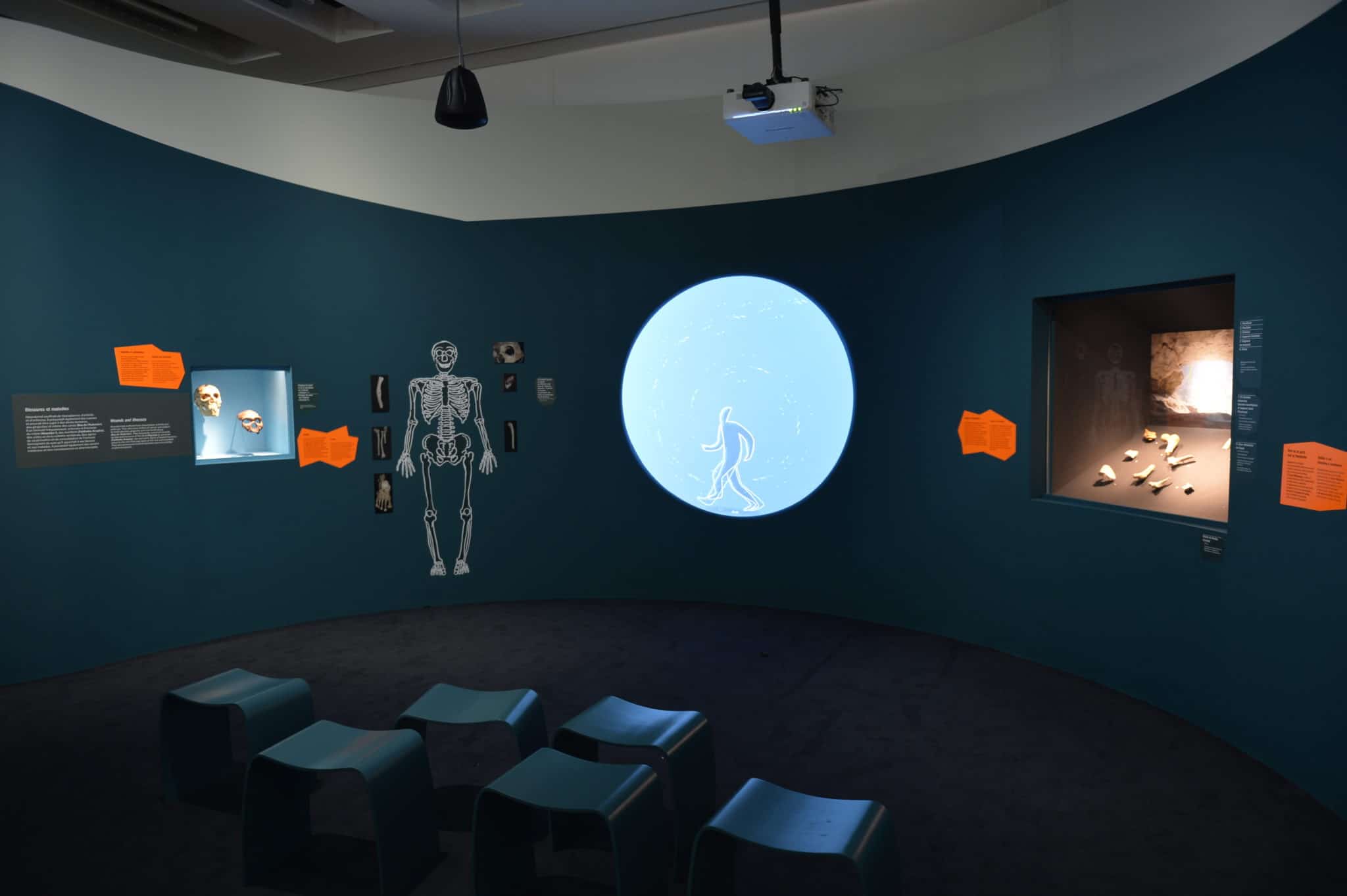 NEANDERTHAL: THE EXHIBIT - Teo, All about touring exhibitions