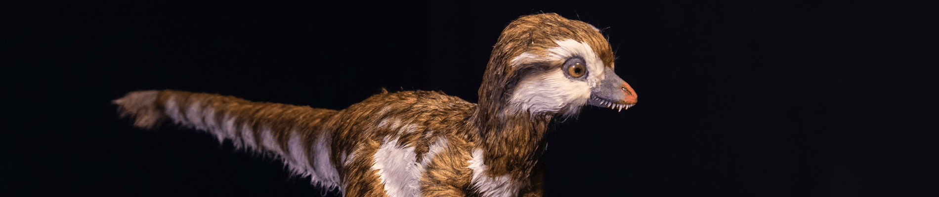 T. rex: The Ultimate Predator - Teo, All about touring exhibitions