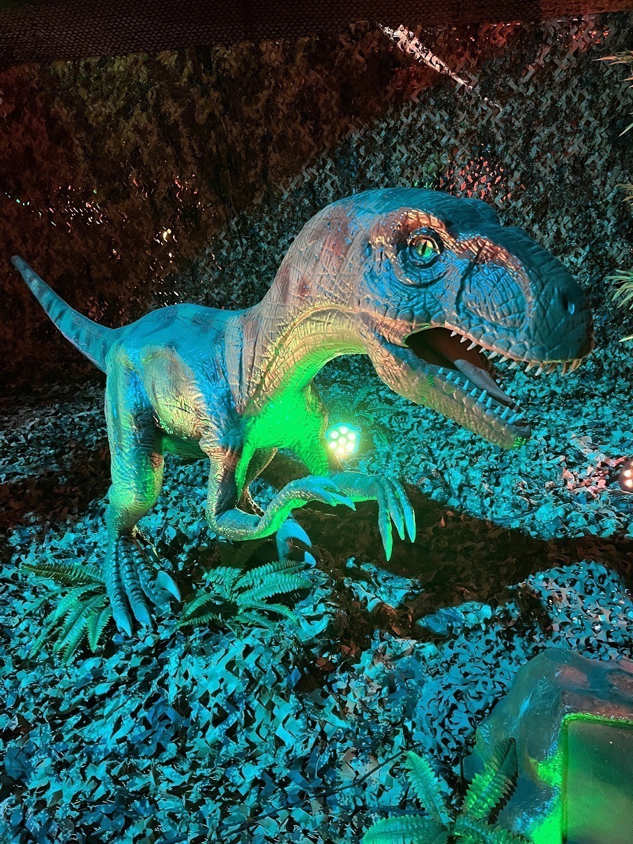 Dinosaur Invasion - Teo, All about touring exhibitions