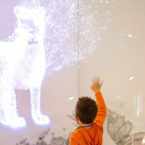 Climate Change through Ice: a creative mix of science centre and ...