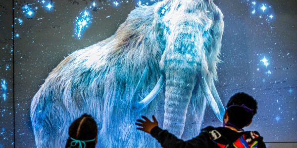 Climate Change through Ice: a creative mix of science centre and ...