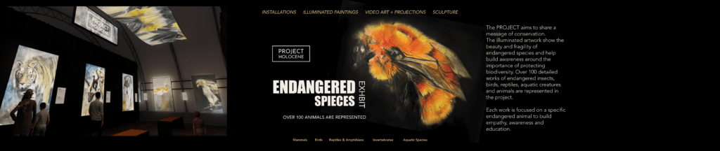 Endangered Species Exhibit - Teo, All about touring exhibitions