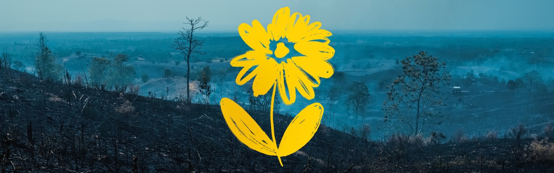 Fixing Our Broken Planet - Teo, All about touring exhibitions