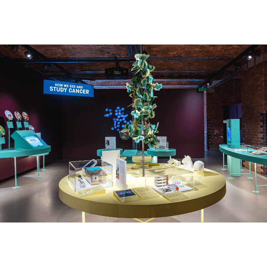 Cancer Revolution - Teo, All about touring exhibitions